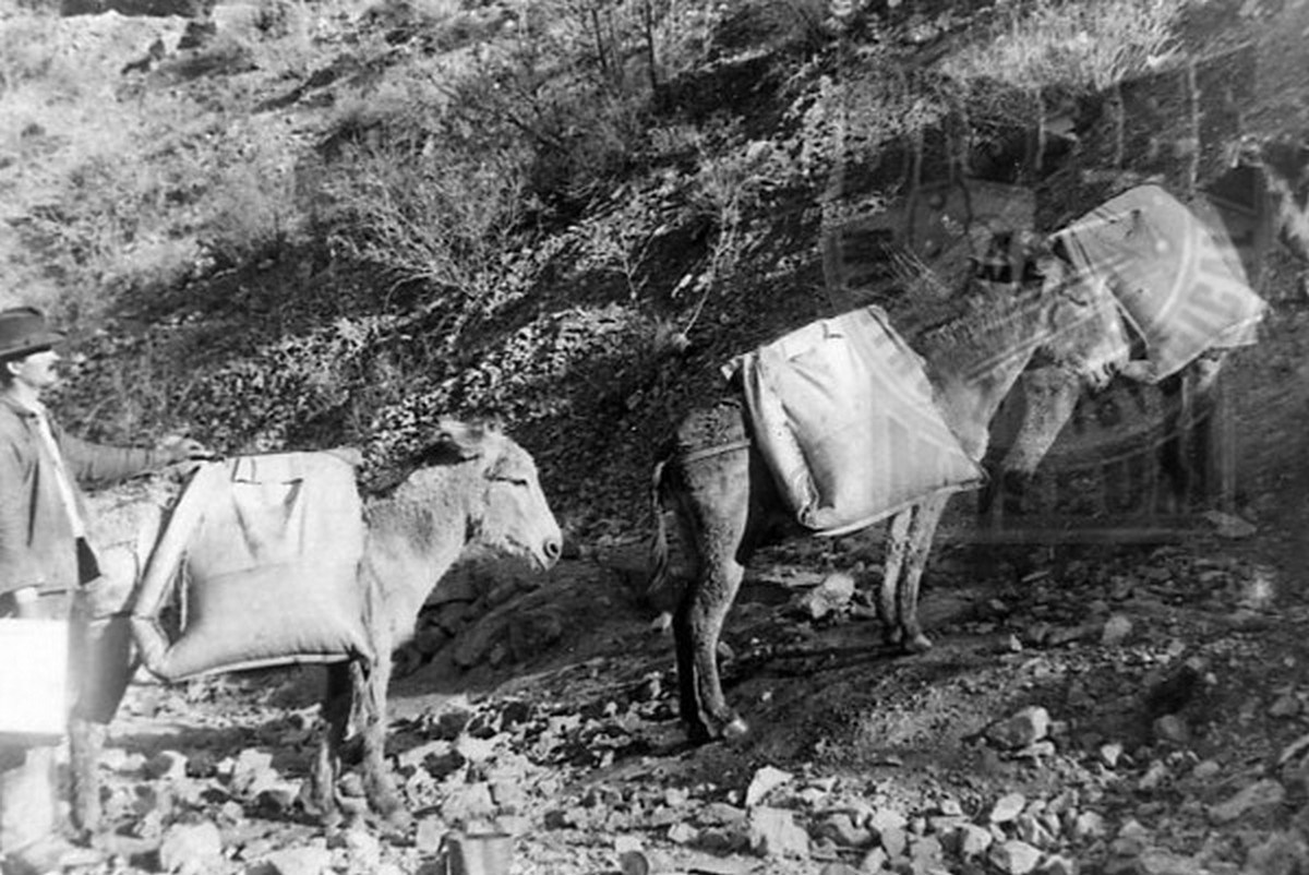1974.107.16a - Bisbee Mining & Historical Museum