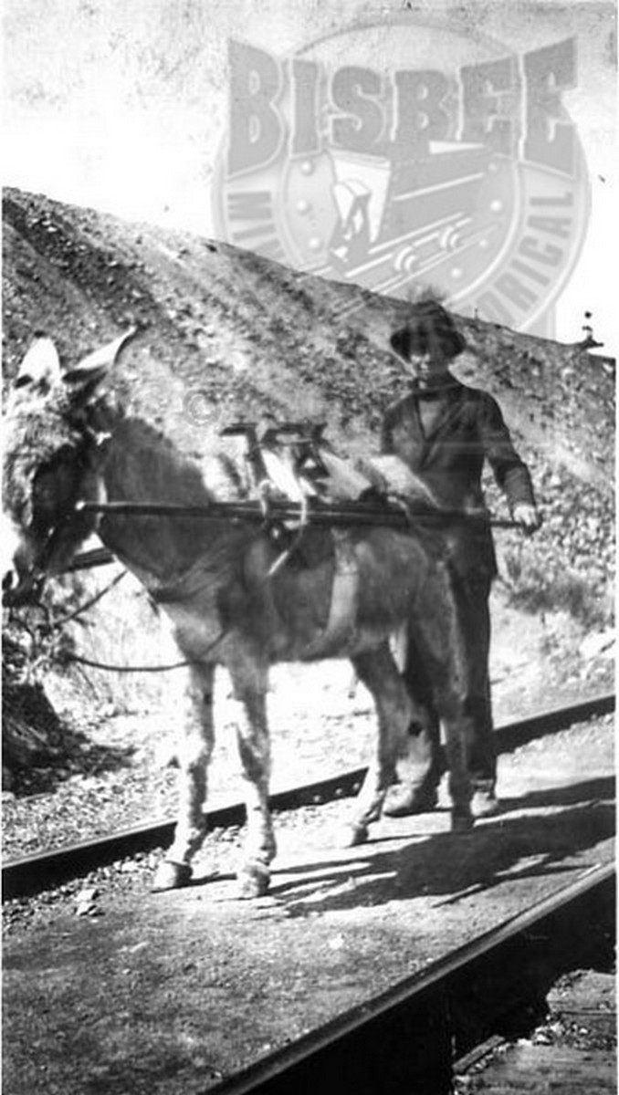 1978.123.6 - Bisbee Mining & Historical Museum