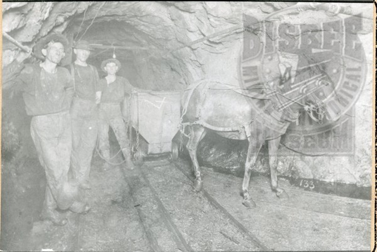 1990.58.63 - Bisbee Mining & Historical Museum