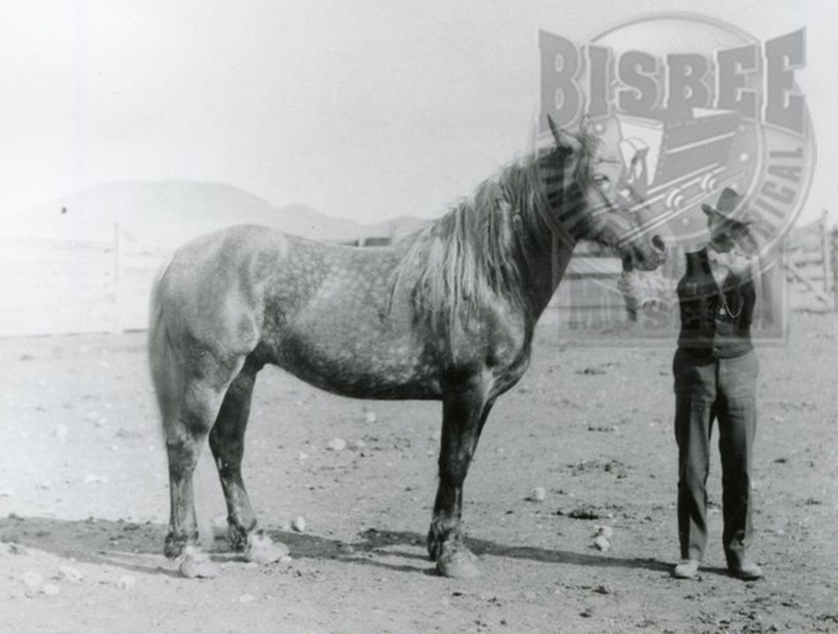 2002.42.6 - Bisbee Mining & Historical Museum