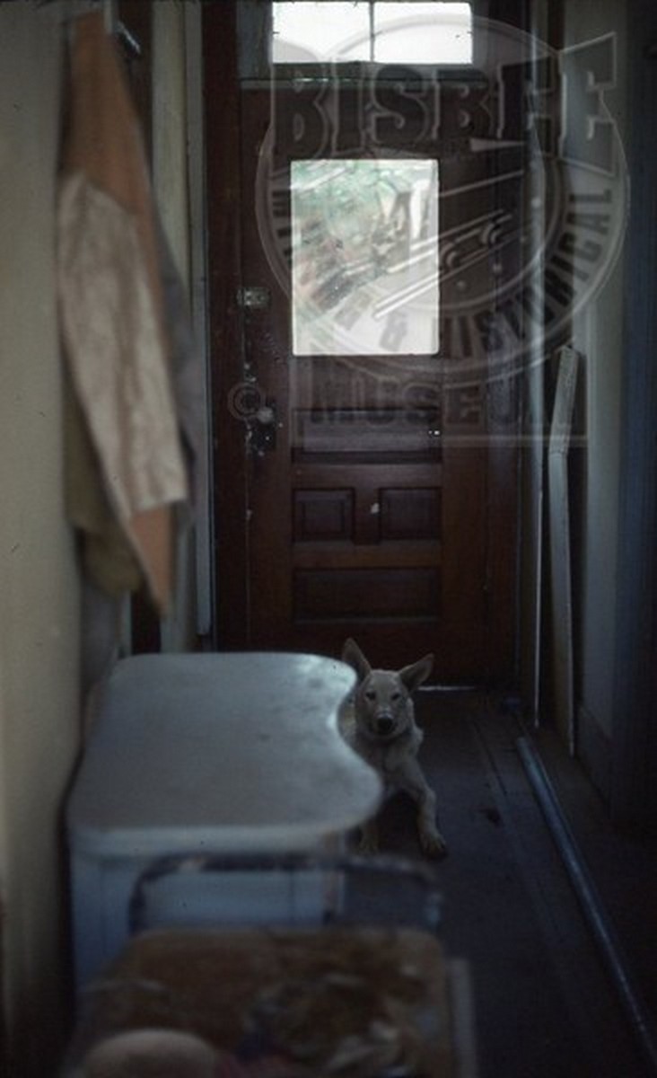 Photos – Page 224 – Bisbee Mining & Historical Museum