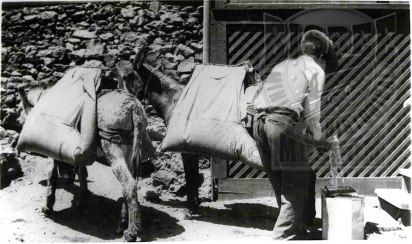 1980.141.35 - Bisbee Mining & Historical Museum